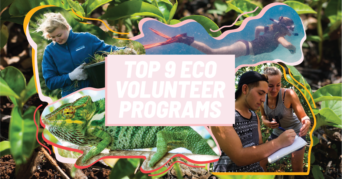 Top 9 Eco Volunteer Programs | Trusted & Affordable
