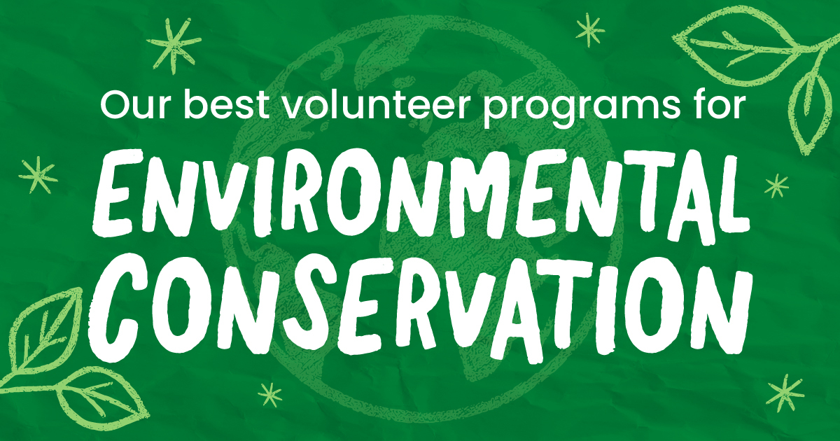 Top Eco Volunteer Programs: Best Conservation Efforts | IVHQ