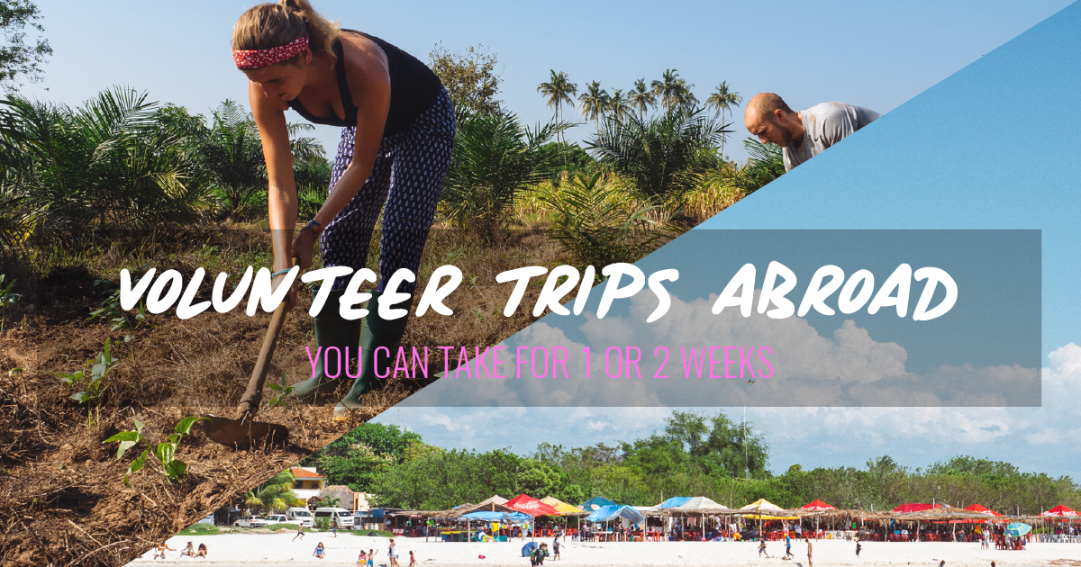 Volunteer Trips Abroad You Can Take For 1 Or 2 Weeks | IVHQ