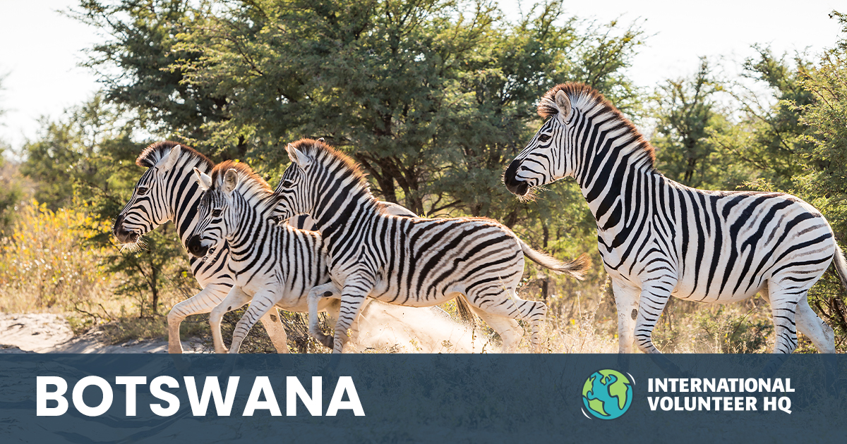 Volunteer in Botswana with IVHQ - Lowest Fees