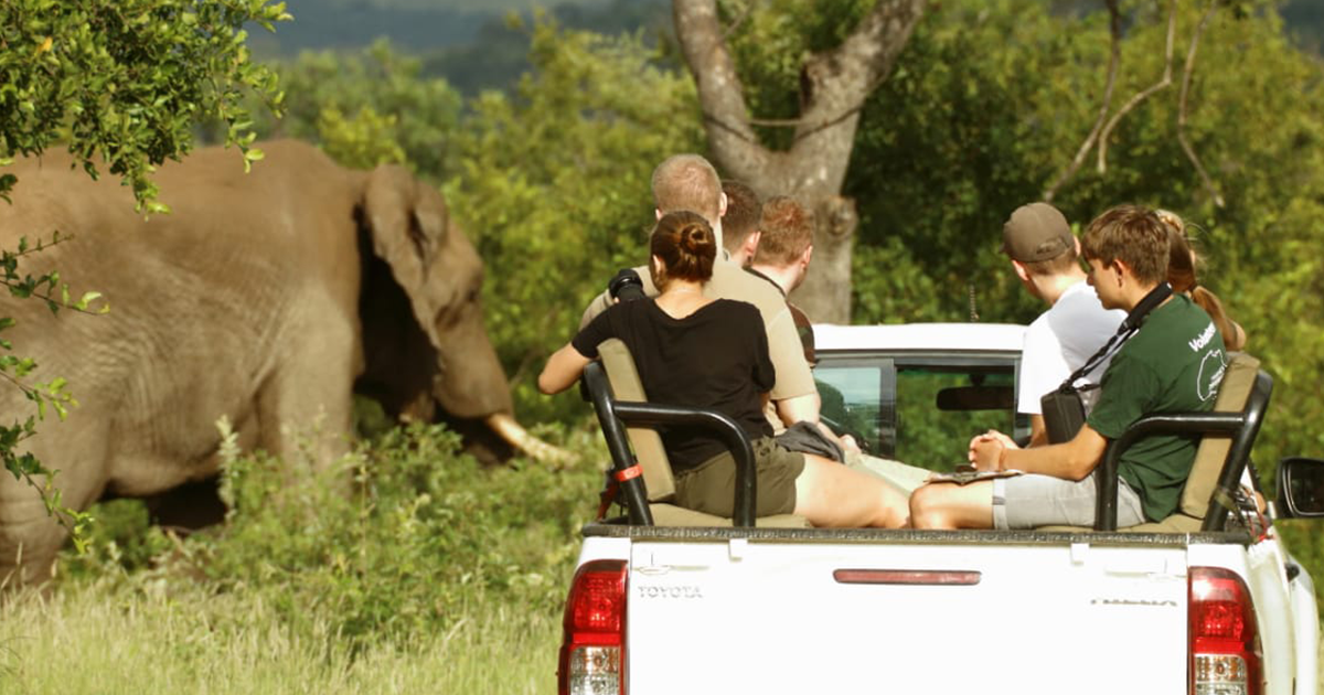 Top 10 Africa Volunteer Programs 2025 & 2026 | IVHQ