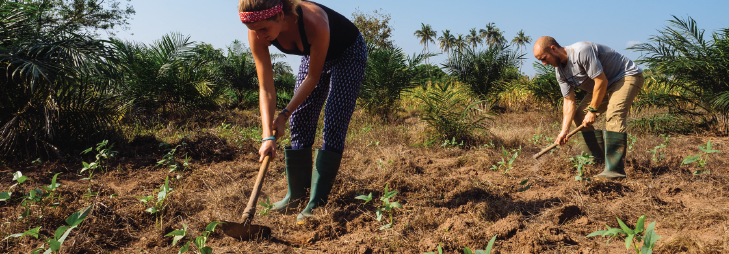 Sustainable Agriculture Volunteer Program in Ghana