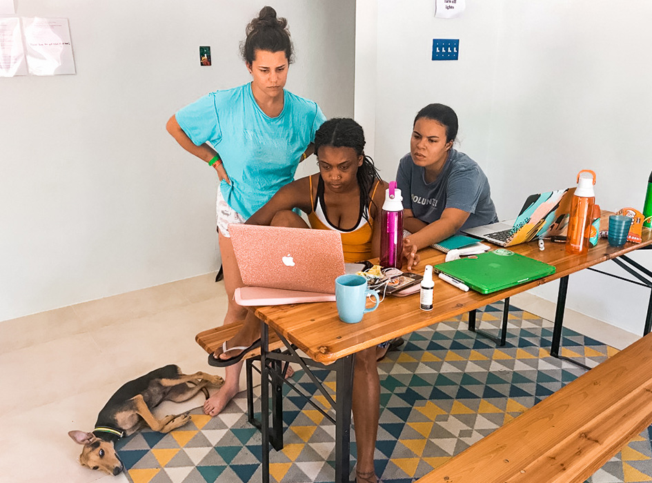 Business & Community Development in St Mary - Jamaica