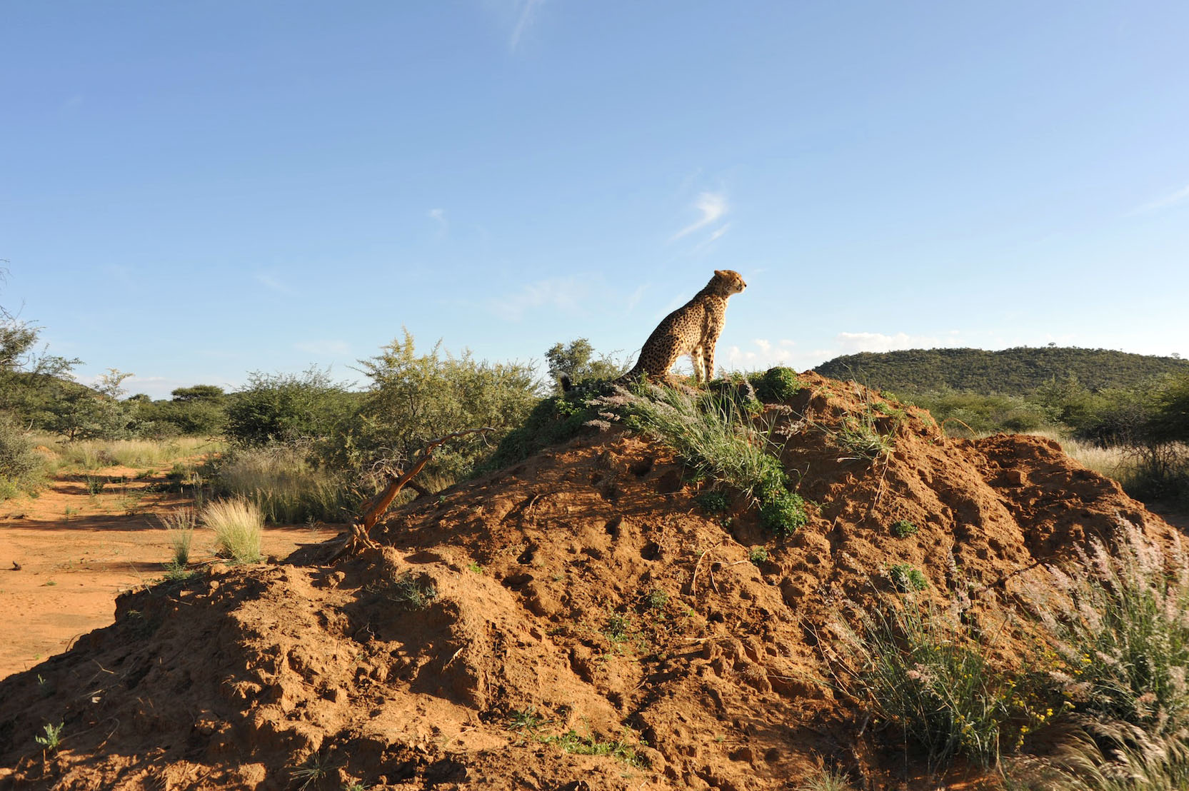 Add-ons and experiences available in Namibia | International Volunteer HQ