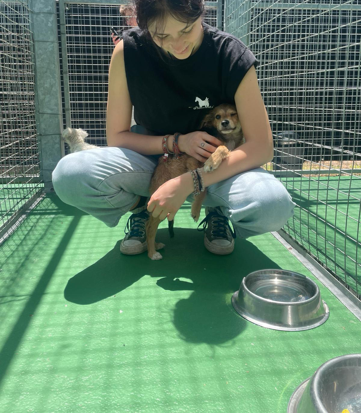 Animal Care Volunteer Program in South Africa | IVHQ