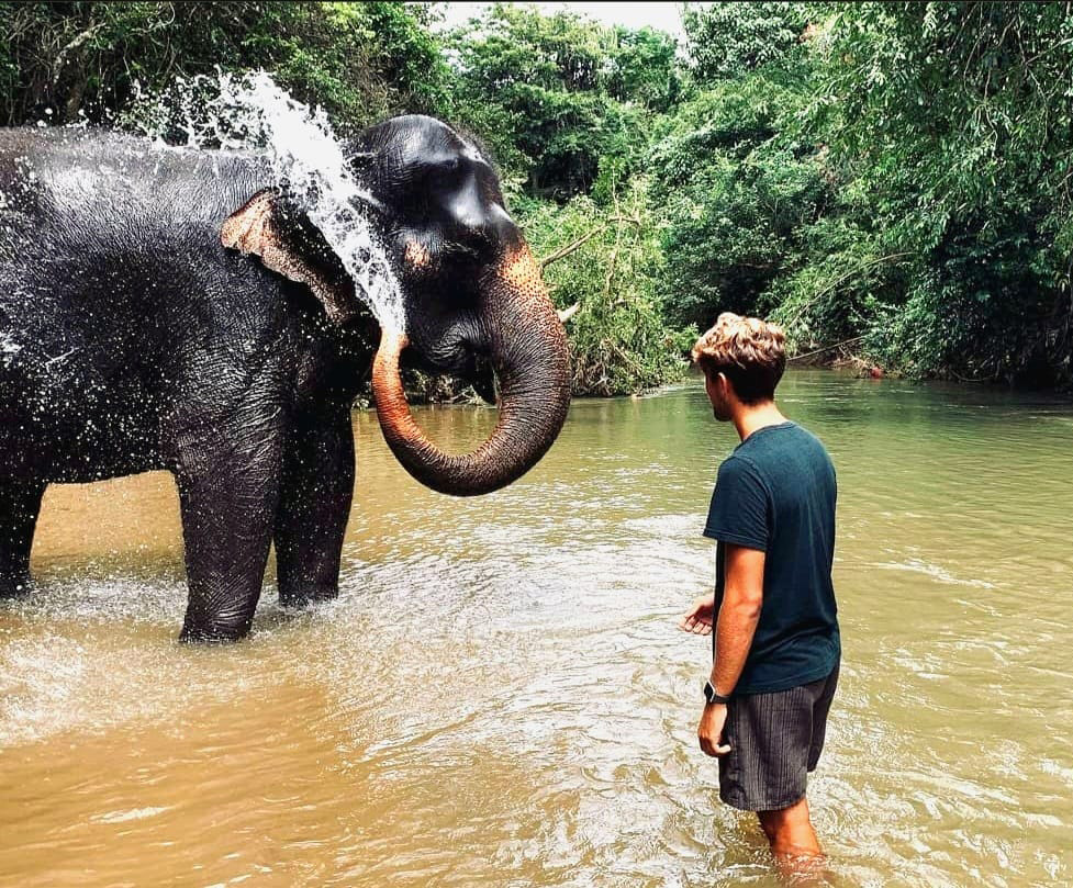 Volunteer With Elephants In Sri Lanka | IVHQ